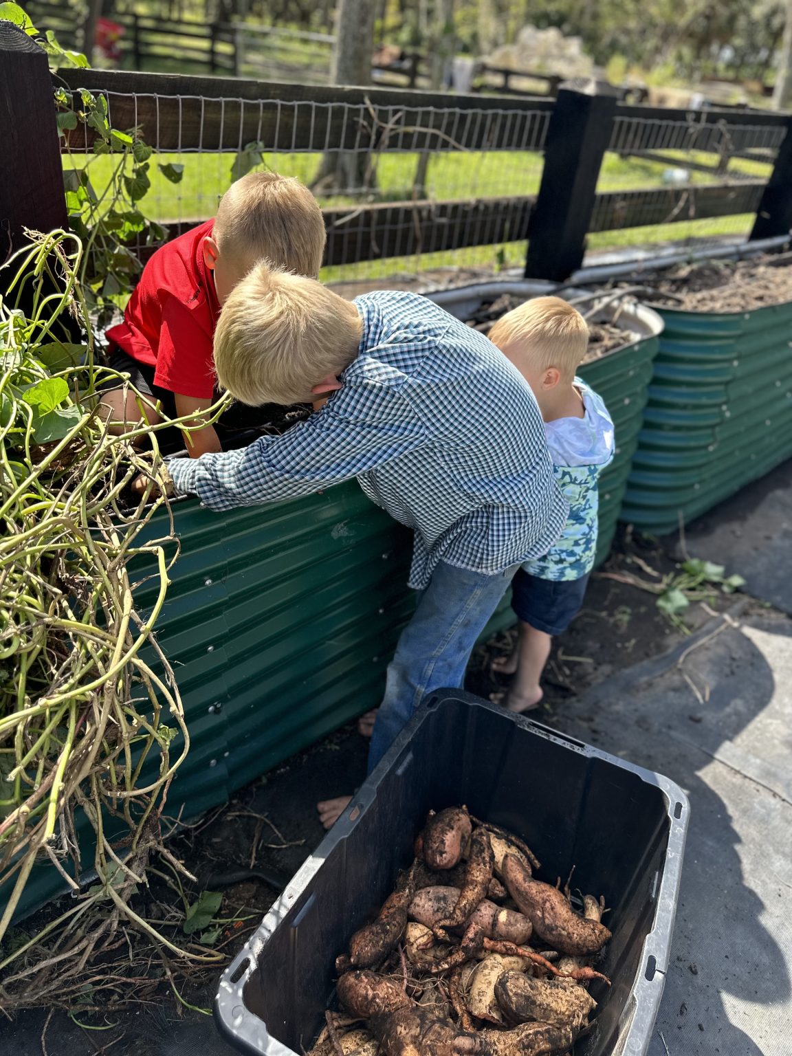 Our Story – Cypress Creek Farms and Ranch