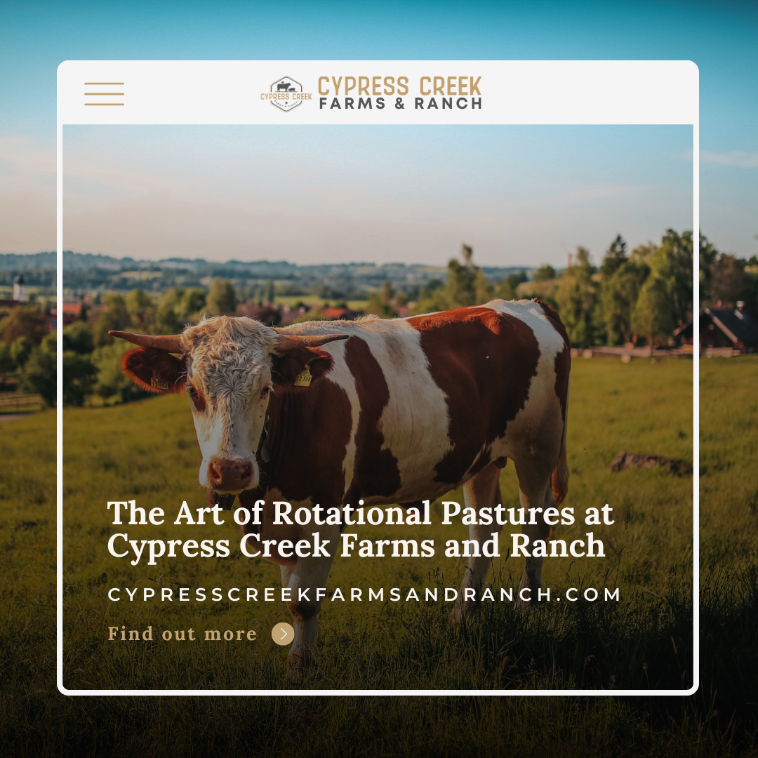 The Art of Rotational Pastures at Cypress Creek Farms and Ranch ...